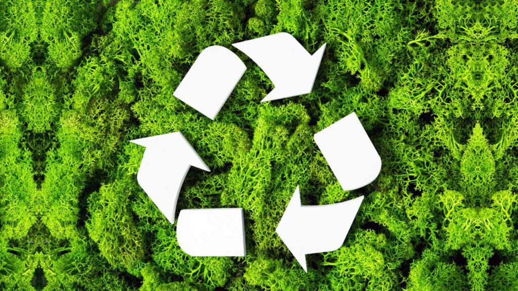 Reciclaje orgánico, una alternativa para el aprovechamiento de los ...