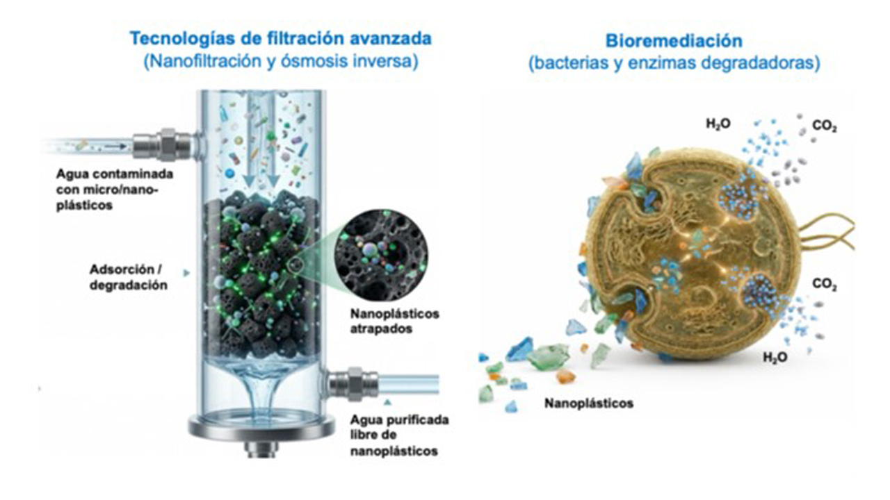 Micro y nanoplásticos: entender el reto para transformar la industria ...